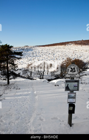 Longshaw Estate (National Trust), Derbyshire, GB, United Kingdom ...