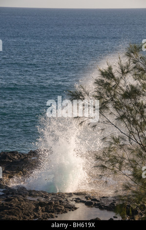 Geyser spouting water Stock Photo - Alamy
