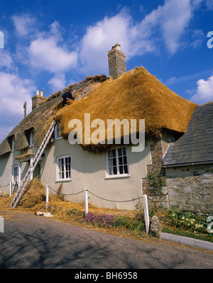 Lower Bockhampton - Thatcher at work in a Dorset village Stock Photo ...