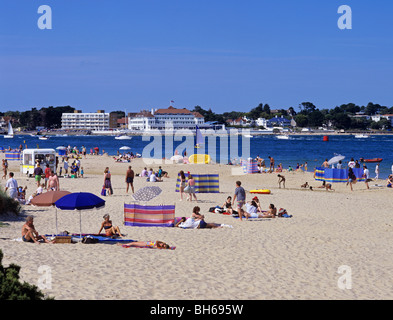 Shell Bay Beach, Studland, Isle of Purbeck, Dorset, UK Stock Photo - Alamy