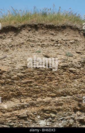 Soil strata on cliff Stock Photo - Alamy