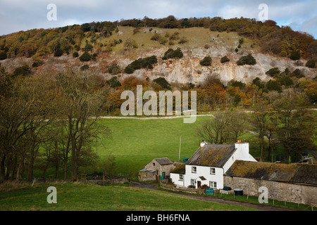 Arnside Tower Farm and Arnside Knott, Cumbria Stock Photo - Alamy