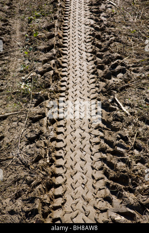 dirt track with tyre imprints Stock Photo - Alamy