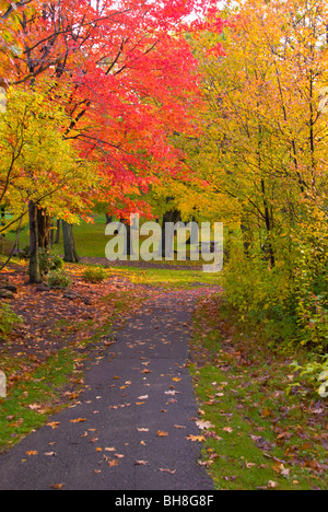 Fall colors in Enger Tower Park, Duluth, Minnesota Stock Photo - Alamy