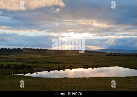 Fantastic Tasmanian Sunset and Landscape Along the A9 Highway towards ...