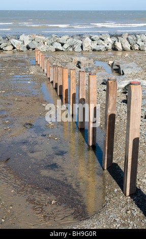 Coastal defence groynes on the beach at Whitstable, Kent, England Stock ...