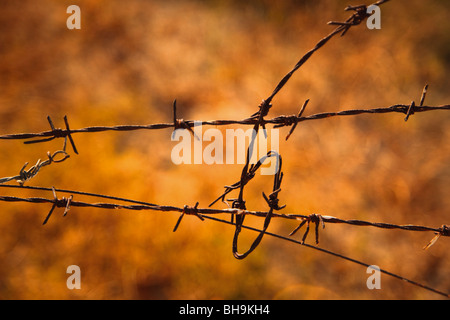 Tangled Barb Wire Stock Photo - Alamy