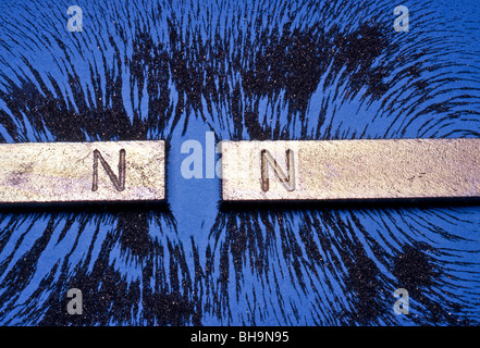 Magnetic fields. Bar magnets with iron filings aligned around them. The ...