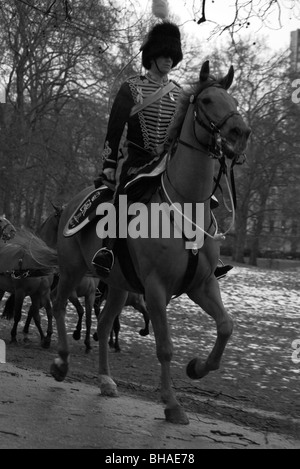 Female soldier of King's Troop Royal Horse Artillery on guard at Horse ...