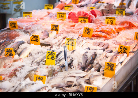 Chinatown, New York City, fish store, fish on display Stock Photo - Alamy