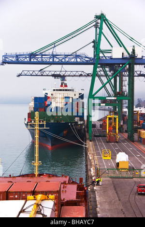 Cranes and cargo containers alongside container ships moored at Stock ...