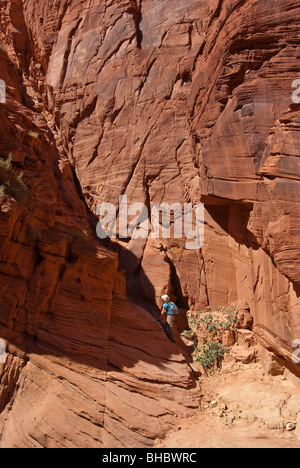 USA, Utah. Woman hiking climbs ladder on trail from Sipapu Bridge ...