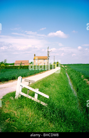 Agricultural landscape of the English fenlands near Thorney ...