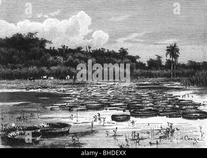 geography / travel, Brazil, Amazon river, Victoria Ragia, wood ...