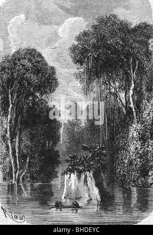 geography / travel, Brazil, Amazon River, river straits near Ambiaque ...