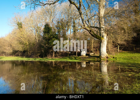 The source of the River Thames at Thameshead near Kemble in Stock Photo ...