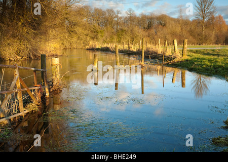 The source of the River Thames at Thameshead near Kemble in Stock Photo ...
