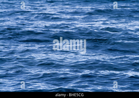 Detail view of gentle waves in a blue sea Stock Photo - Alamy