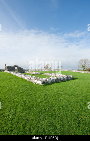 Nendrum Monastic site, County Down, Northern Ireland Stock Photo - Alamy