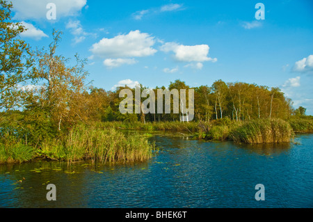 Bank of river Peene near Demmin, Mecklenburg-Western Pomerania, Germany ...