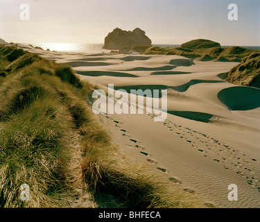 Sunny view of the landscape with some footprints in White Sands ...