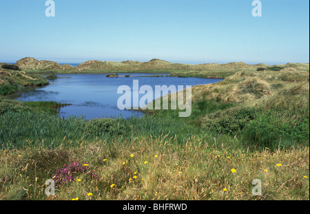 North Walney National Nature Reserve Cumbria Stock Photo: 21002272 - Alamy