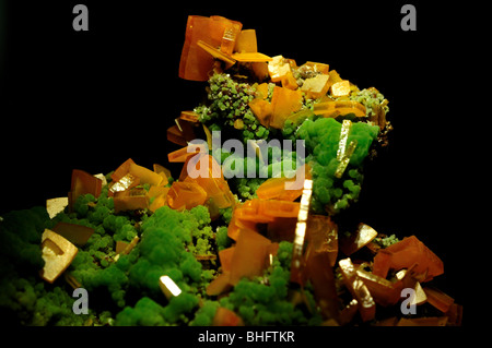 yellow Wulfenite with green Mimetite crystals. Specimen from Ojuela ...