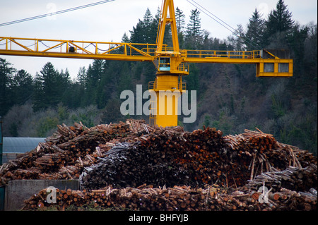 Wood pulp mill processing timber in wood chips in Tasmania, Australia ...