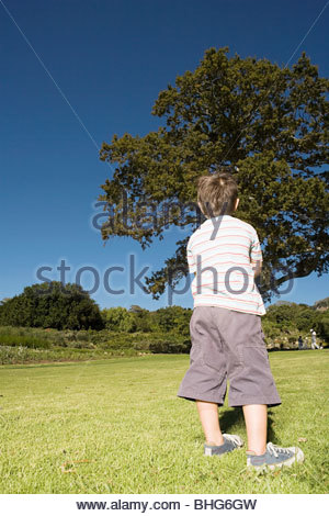 Back view of little boy standing on chair in the kitchen looking into ...
