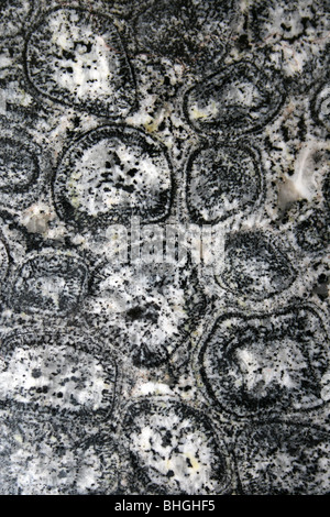 Granite. Granite is a crystalline intrusive igneous rock consisting of ...