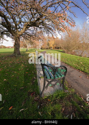 autumn woodland - st stephens park alongside river avon warwick ...