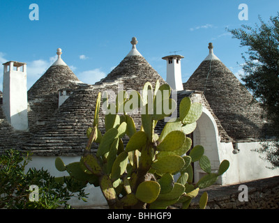 Alberobello, Puglia, Italy, with traditional primitve dwellings known ...