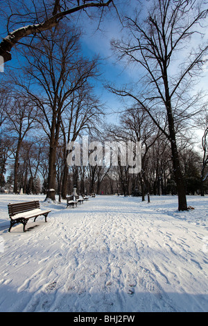 Park Bench in Winter Stock Photo - Alamy