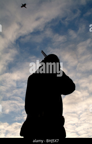 Game bird shoot with man aiming a shotgun at a pheasant flying over ...