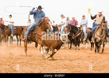 a cowboy competes in the tie-down roping event at a rodeo Stock Photo ...