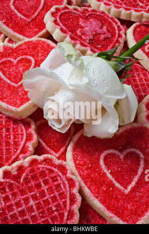 Rose flower with heart shaped cookies for Valentine's day on color ...