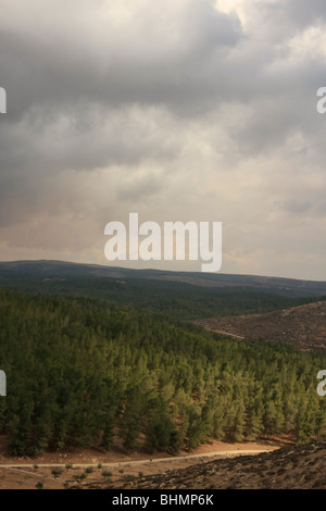 Israel Southern Hebron Mountain Yatir Forest Scenic Route Stock Photo ...