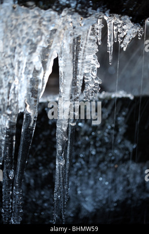 Icicles - Forest of Birse - Strachan - Scotland - UK Stock Photo - Alamy