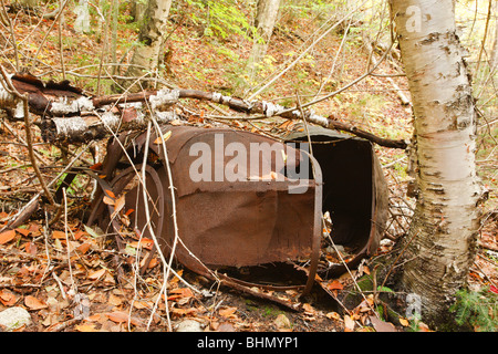 Nancy Brook Scenic Area - Remnants of "Lucy Mill" along Nancy Pond ...