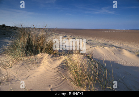 Saltfleetby - Theddlethorpe Dunes National Nature Reserve, Lincolnshire ...