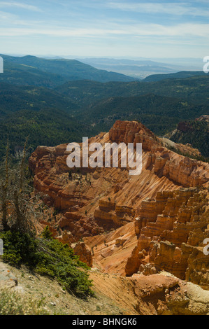 panorama of Cedar Breaks National Park, Utah Stock Photo - Alamy