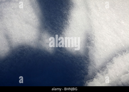 Forest of Birse - Strachan - Scotland - UK Stock Photo - Alamy
