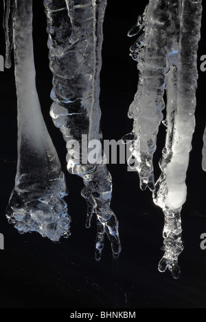 Icicles - Forest of Birse - Strachan - Scotland - UK Stock Photo - Alamy