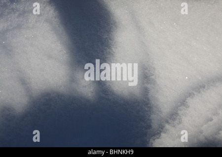 Forest of Birse - Strachan - Scotland - UK Stock Photo - Alamy