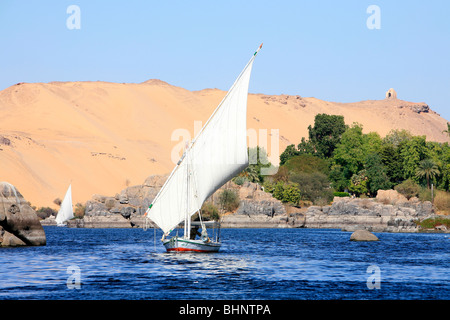 Two Felucca Boats Sail on the Nile River in Aswan, Egypt Stock Photo ...