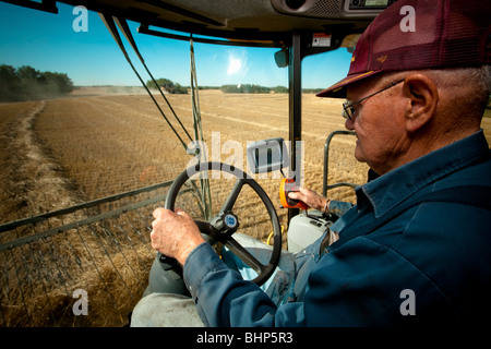 Senior Farmer In Cab Of Combine, With Second Combine Parallel, Redvers ...