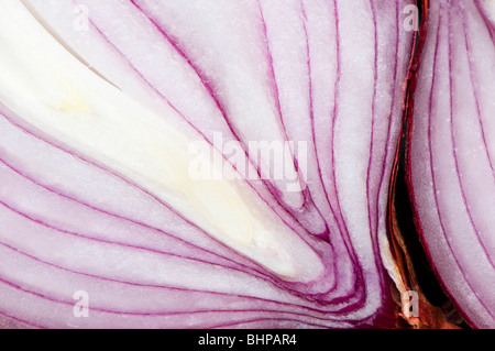 Red Onion; layers; UK Stock Photo - Alamy