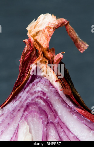 Red Onion; layers; UK Stock Photo - Alamy