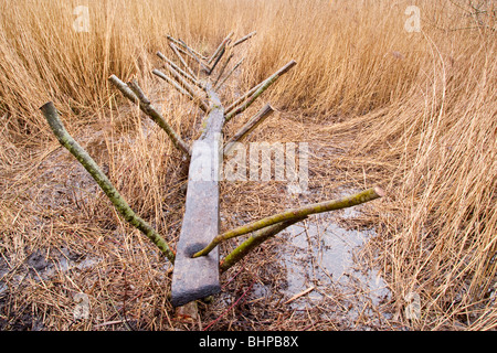 Reconstruction of the Sweet Track (a man made Neolithic path or route ...