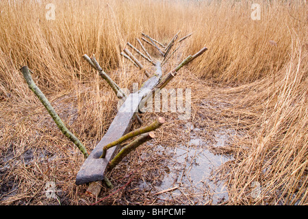 Reconstruction of the Sweet Track (a man-made Neolithic path or route ...